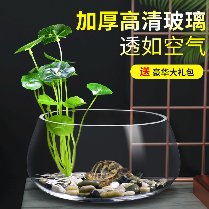 Gord Small Glass Turtle Tank - Round Aquarium for Desk