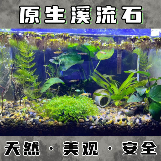 Natural pebble fish tank landscaping bottom sand gravel aquarium bottom ...