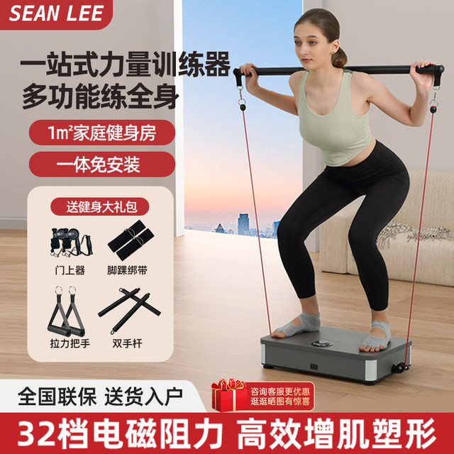 SEAN Lee Comprehensive Power Training Equipment Furniture Fitness ...