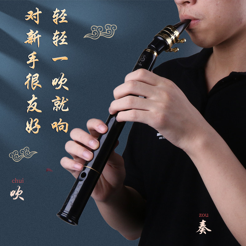Range A8102c Mini Saxophone - E Flat Alto - Beginner Friendly