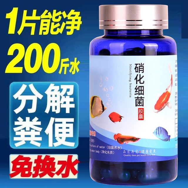 Nitrifying bacteria fish tank water purifier fish farming supplies ...