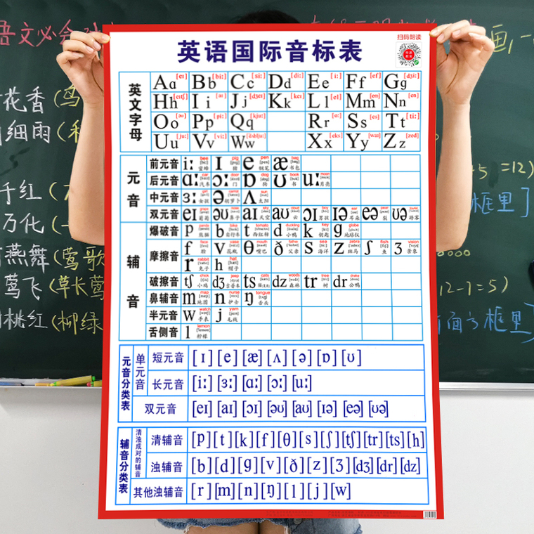 English phonetic alphabet wall chart 48 ipa wall stickers