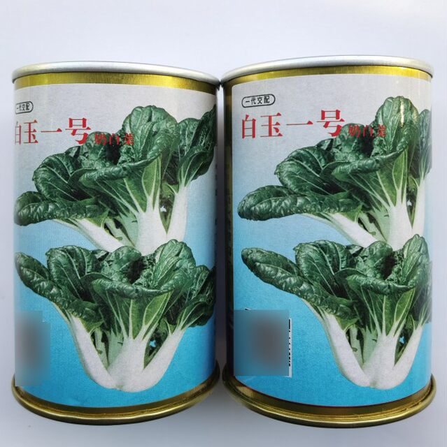 Baiyu No. 1 milk cabbage seed hybrid heat-resistant and cold-resistant ...