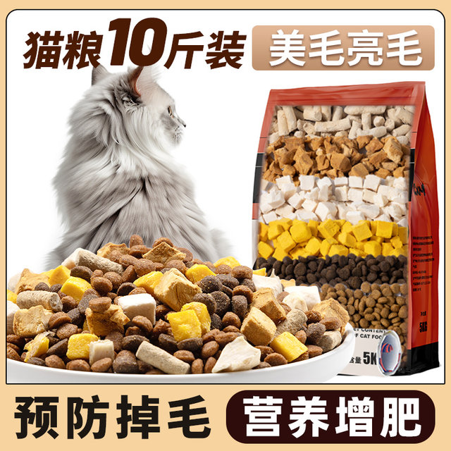 Cat Food Cheng Cat Kitten 10jin [Jin is equal to 0.5 kg] Affordable ...