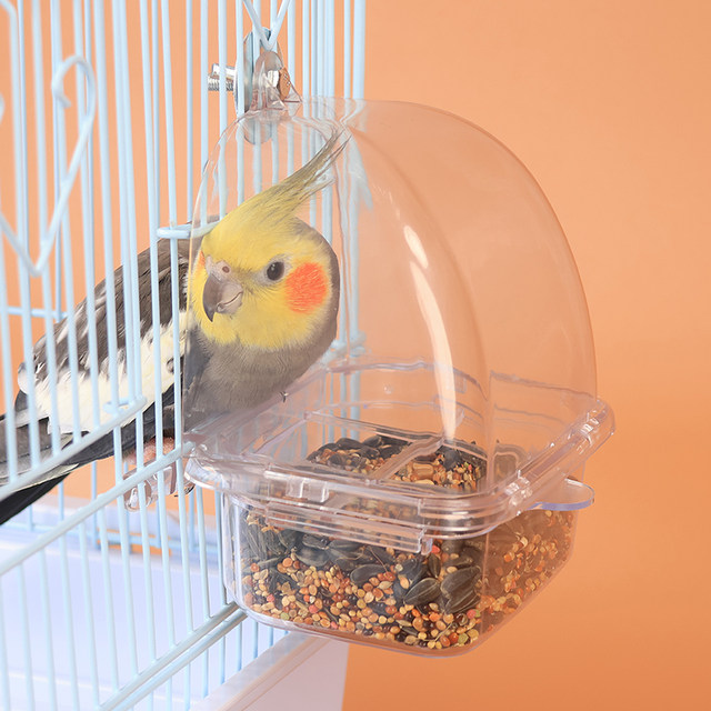 New bird food box parrot food box feeder bird food tank bird feeder ...