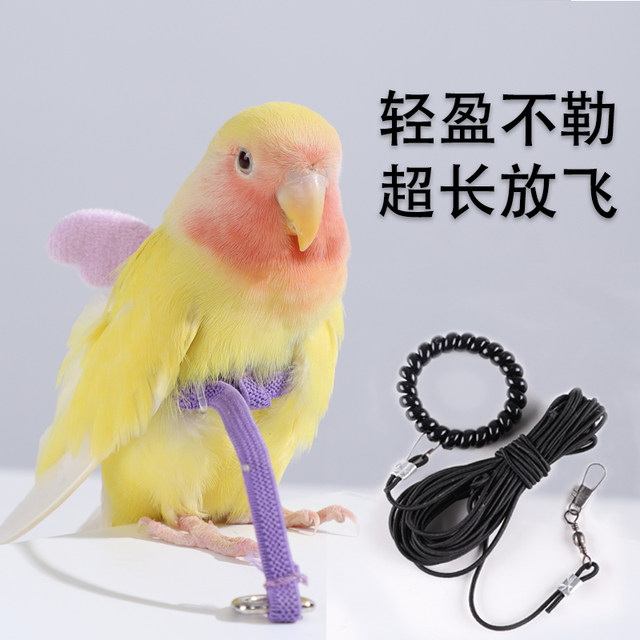 Bird use parrot fly rope black phoenix tiger skin peony traction rope ...