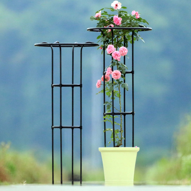 The third generation of umbrella type climbing pergola thickened ...