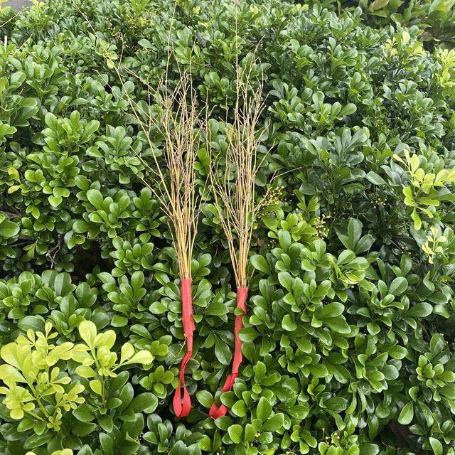 Teaching stick ring ruler bamboo whip home soft bamboo strip bamboo ...