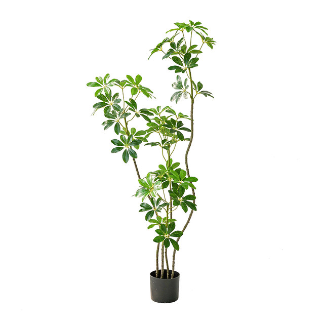 Duck foot wood simulated green plants, high-end light luxury indoor ...