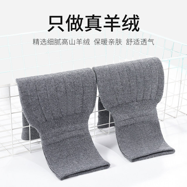 Antarctica's long cashmere knee joints keep warm old cold legs for the ...