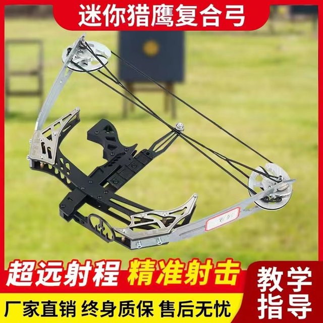 Mini portable compound bow, small folding compound bow, high power ...