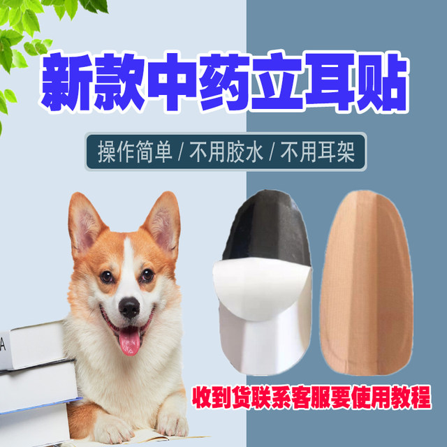 Demu Black Wolf Dog Laizhou Red Wolf Green Corki Fa Niu Dubin Little ...