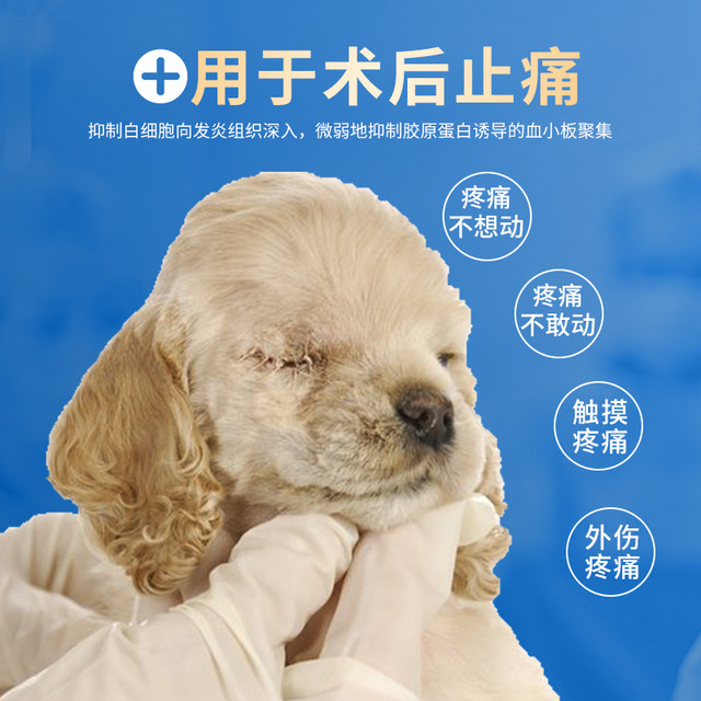 Meloxicam tablets, pet cat analgesics, dog arthritis, fractures, lame ...