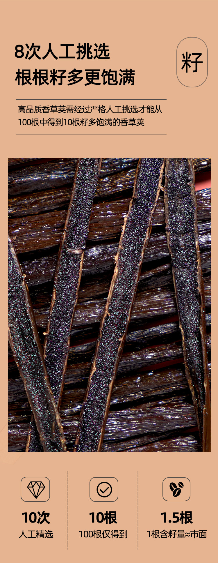 Vanilya çubuğu - 11-13cm 5 adet | Fleur couleur