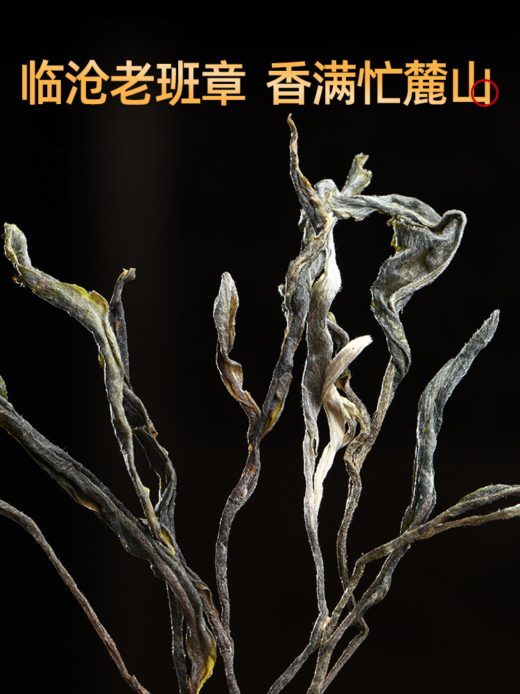 Lincang Bangdong Head Spring Return Core Lushan Ancient Tree Pu'er Raw ...