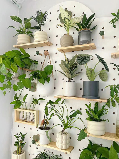 Cave panels, flower frames Customized balcony green planting wall space ...