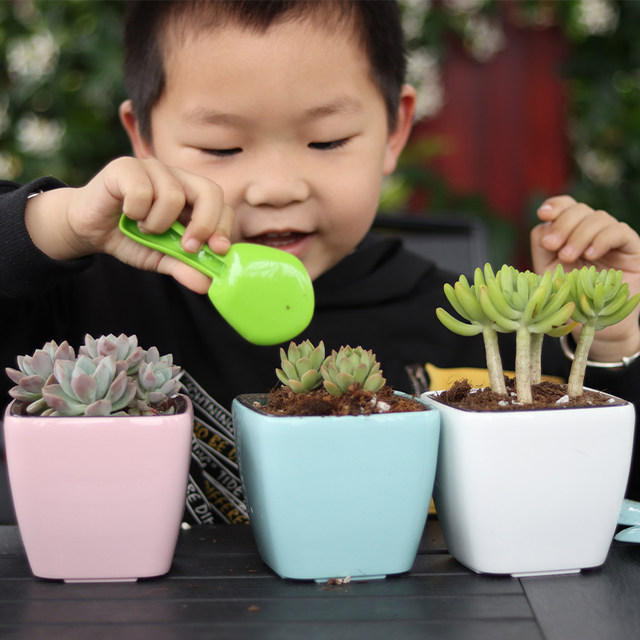 Self-absorbing small flower pots, succulent plant pots, creative ...
