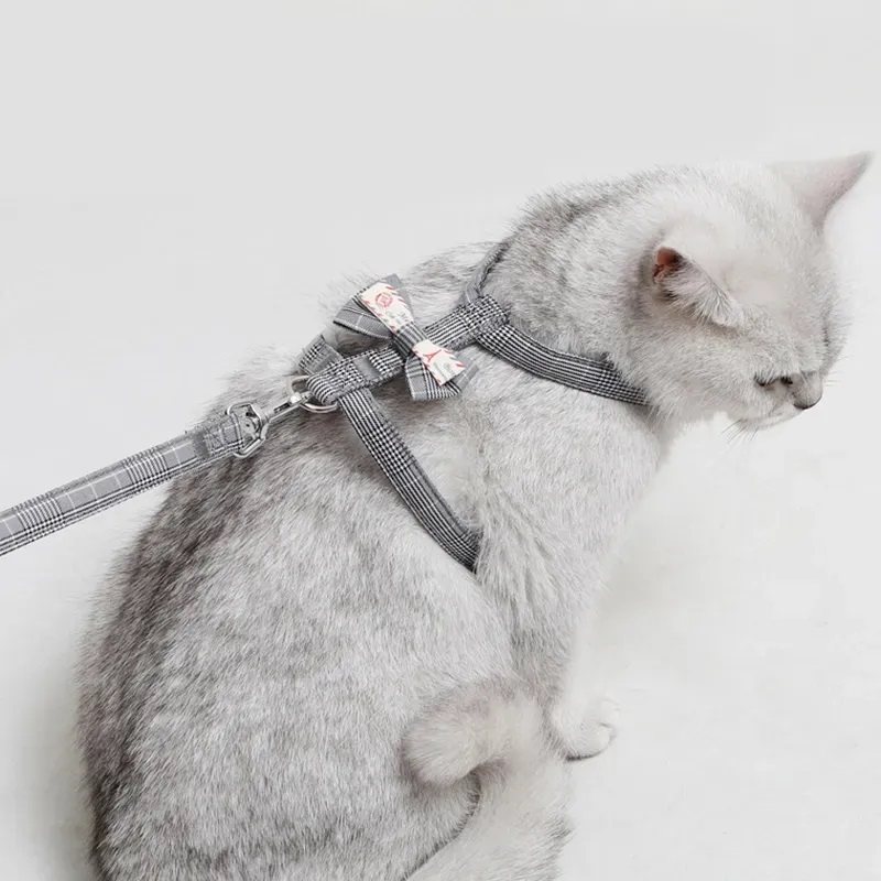 Amor Cat Traction Rope - Adjustable Kitten Walking Lead - Blue