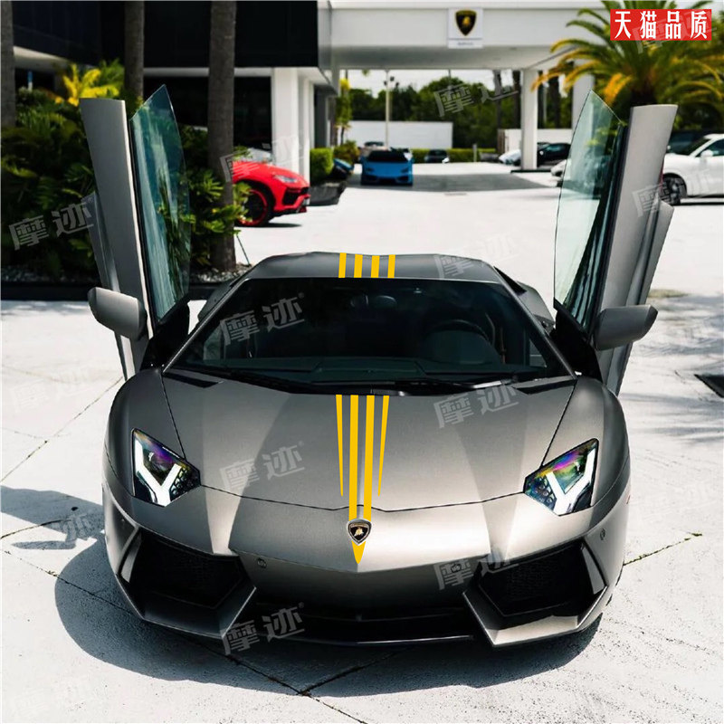 Lamborghini Huracn car sticker pull pattern calf bull Gallardo ...