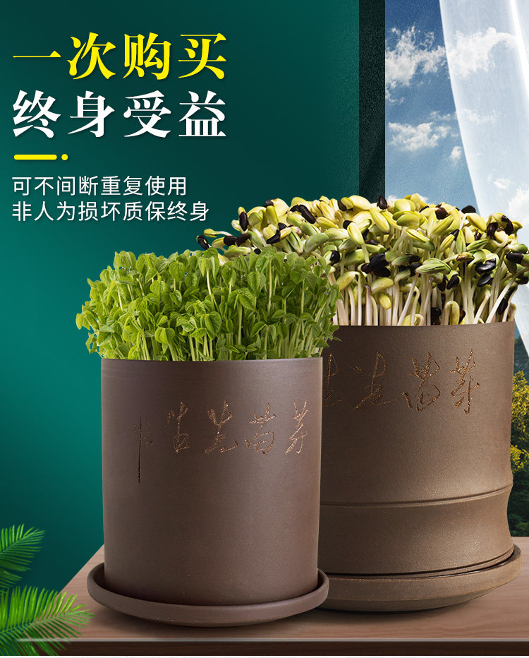 Ceramic Bean Sprout Pot for Hydroponic Vegetable Cultivation