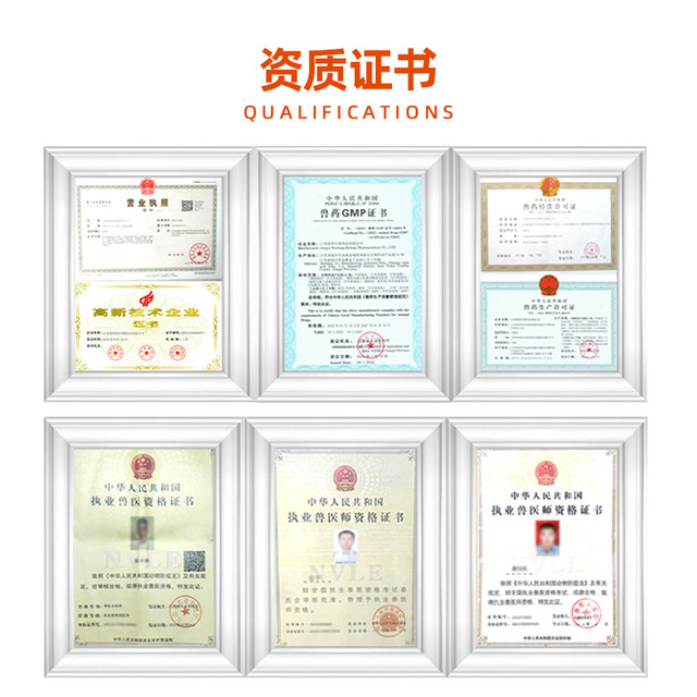 Meloxicam tablets for pets with arthritis, broken feet, lame cats ...