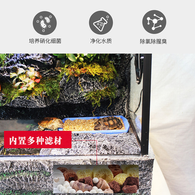 Luxurious turtle tank with terrace, water turtle tank, landscaping ...