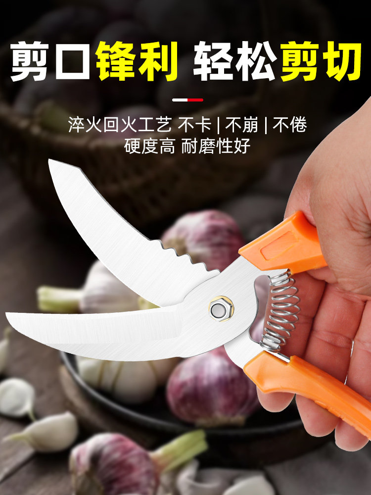 Silver Rhinoceros Garlic Scissors - High Manganese Steel Kitchen Tool