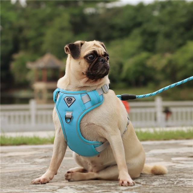 Dog vest type traction rope small dog walking rope French Dou Bago ...