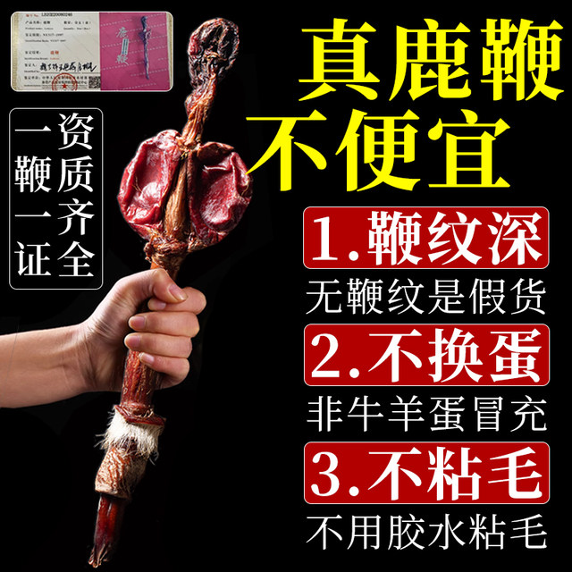 Whole dried deer penis, authentic whole red deer penis, medicinal ...