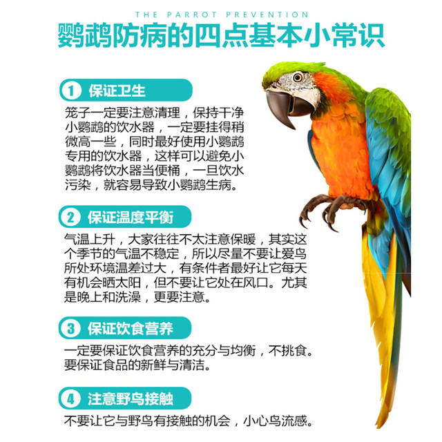 Heart-to-heart parrot medicine, diarrhea medicine, electrolytes ...