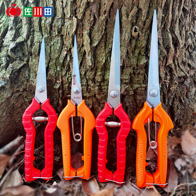 Sagawa field fruit picking scissors, fruit thinning scissors, grape ...