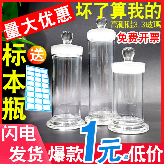 Thickened transparent glass specimen bottle, specimen cylinder, plant ...