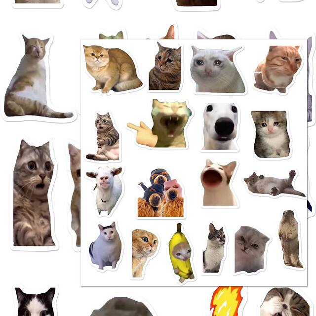 300 cat meme stickers cute funny cat ins style emoticon pack picture ...