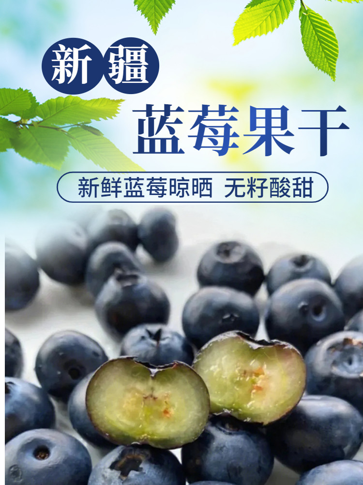 Xinjiang Dried Blueberries - 500g - Tianshan Mountain Fruits