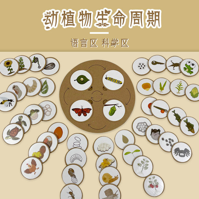 Animal and plant life cycle children's science experiments middle class ...