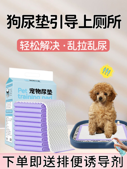 Dog urine pad guide to the toilet fixed point discharge and defecation ...