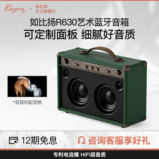 Rubyoung/Ruyang 630 Customized Audio Small official Bluetooth audio
