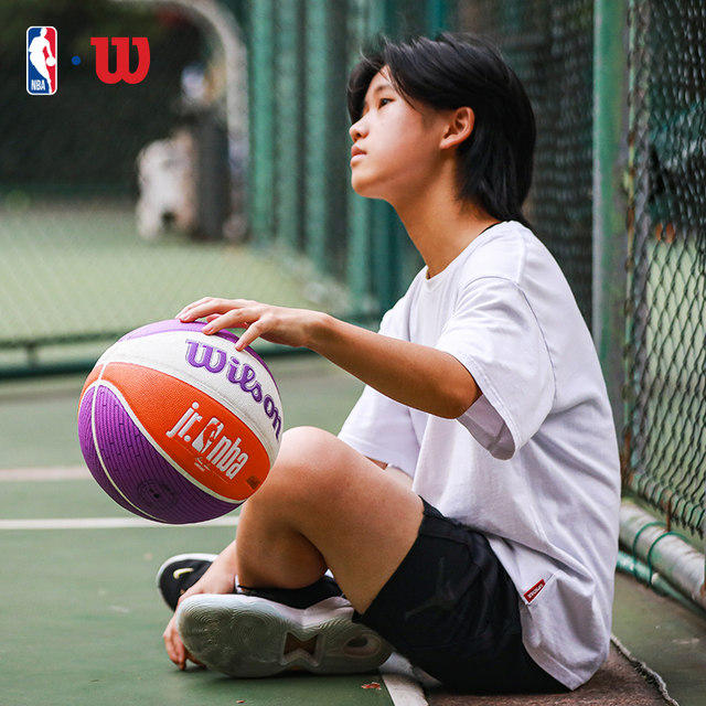 Wilson Wilson No. 6 basketball jr.nba girls special indoor and outdoor ...