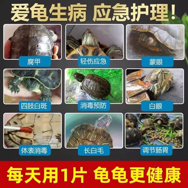 Turtle Protection Tablets, Turtle Disinfection Tablets, specially used ...