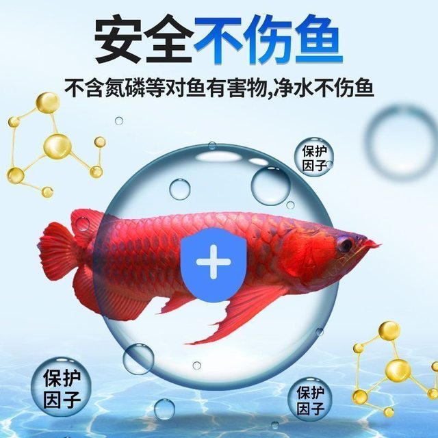 Fish tank water purification agent a drop of clear water Liqing special ...