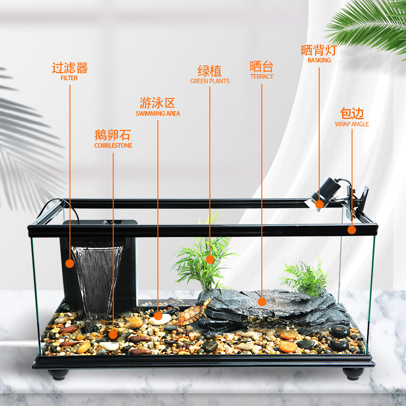 Li Yimei Grand Terrarium en Verre pour Tortue avec Plateforme de Séchage