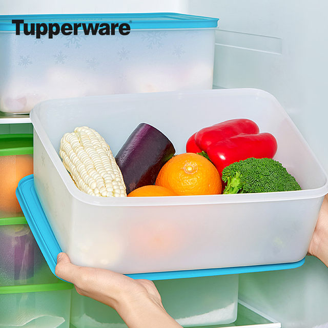 Tupperware Snow Shadow Large Freezer Food Storage Box 5.7L Refrigerator ...