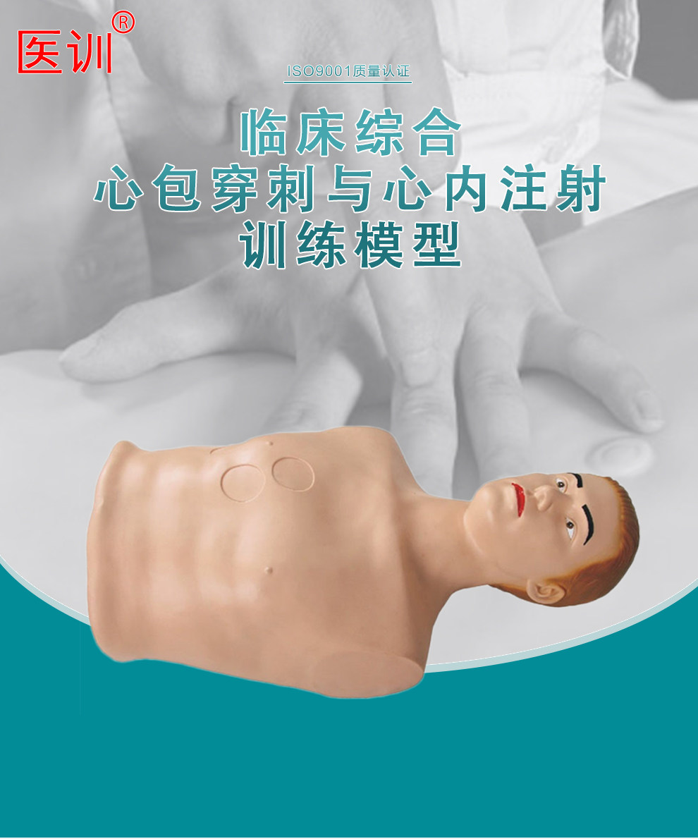 Intracardiac Injection Training Model - Yx/ck817 | Medical training