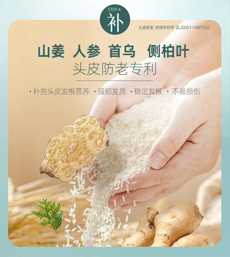 Changfa Xiaozhai Washing Rice Water Shampoo Dew: Ginger Shouwu Oil ...