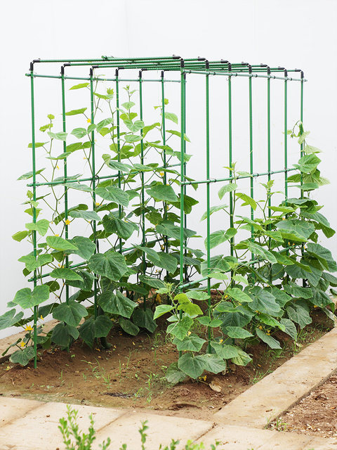 Climbing frame green bean rack rod cucumber bean support rod vegetable ...