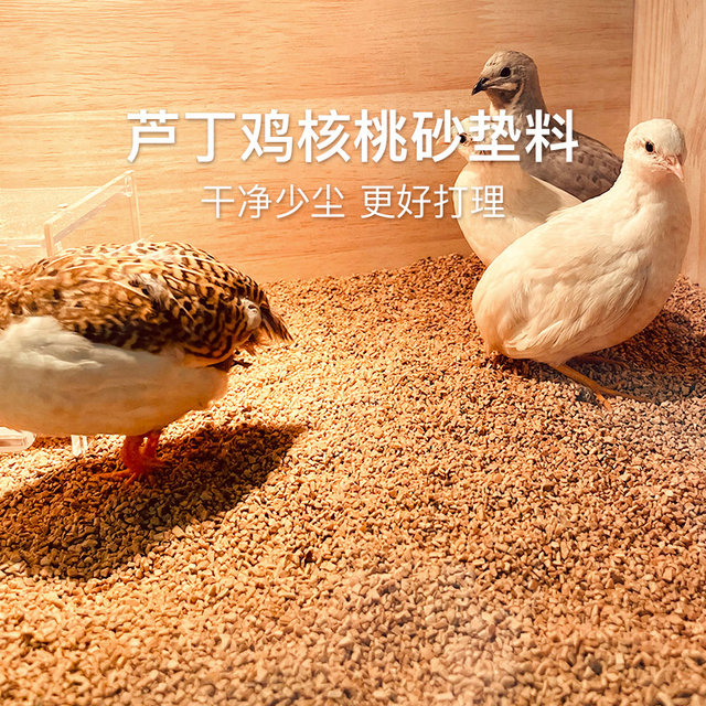 Rudin Chicken Luggage Walnut Sand Pet Quail Ludin Chicken Winter ...