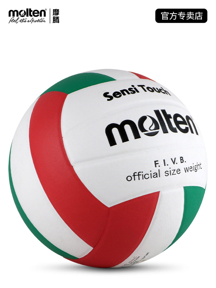 Molten V5flc Volleyball - Indoor Game Ball