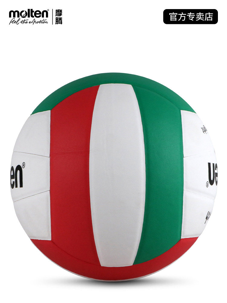 Molten V5flc Volleyball - Indoor Game Ball