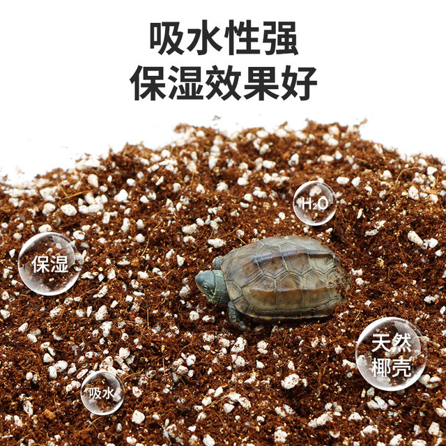 Tortoise tortoise Brazilian tortoise hibernation supplies coconut soil ...