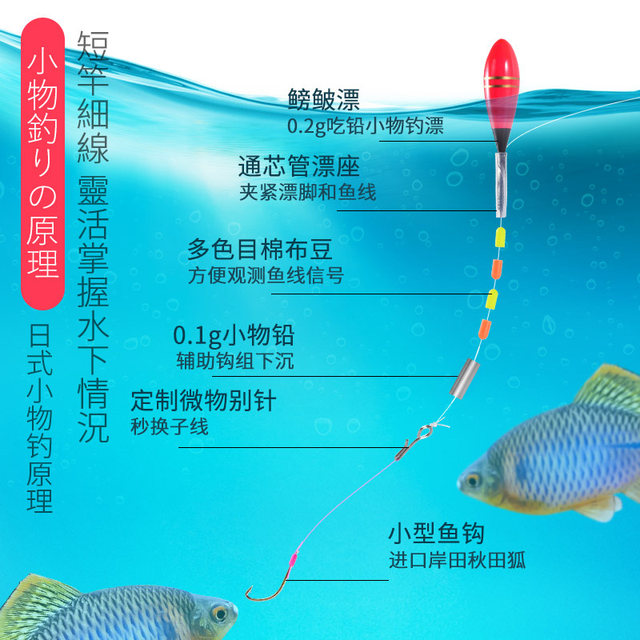 Japanese-style stream small object line group small fish nemesis ...